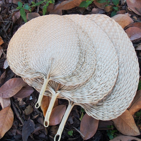 Palm Leaf Hand Fans - Etsy