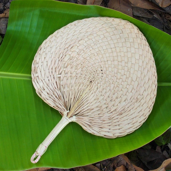 Palm Leaf Hand Fans - Etsy