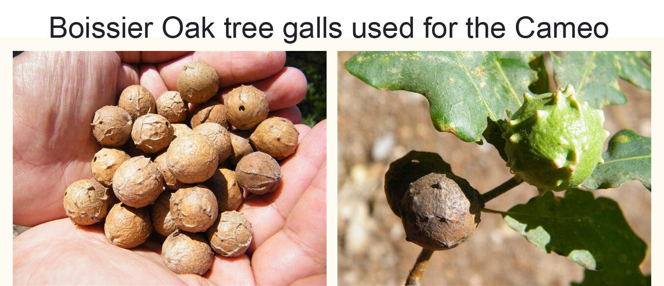 14K Solid Gold Judaica Cameo Brooch. AFSA Baby Cameo Charm - Etsy