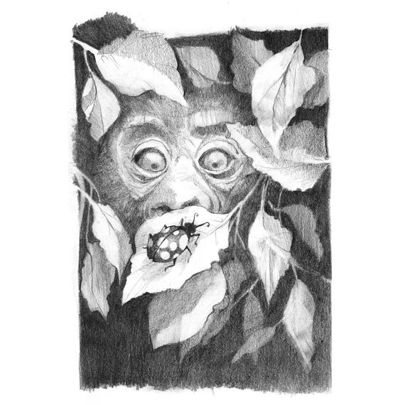 Unique Pencil Drawing Original Illustration | Etsy