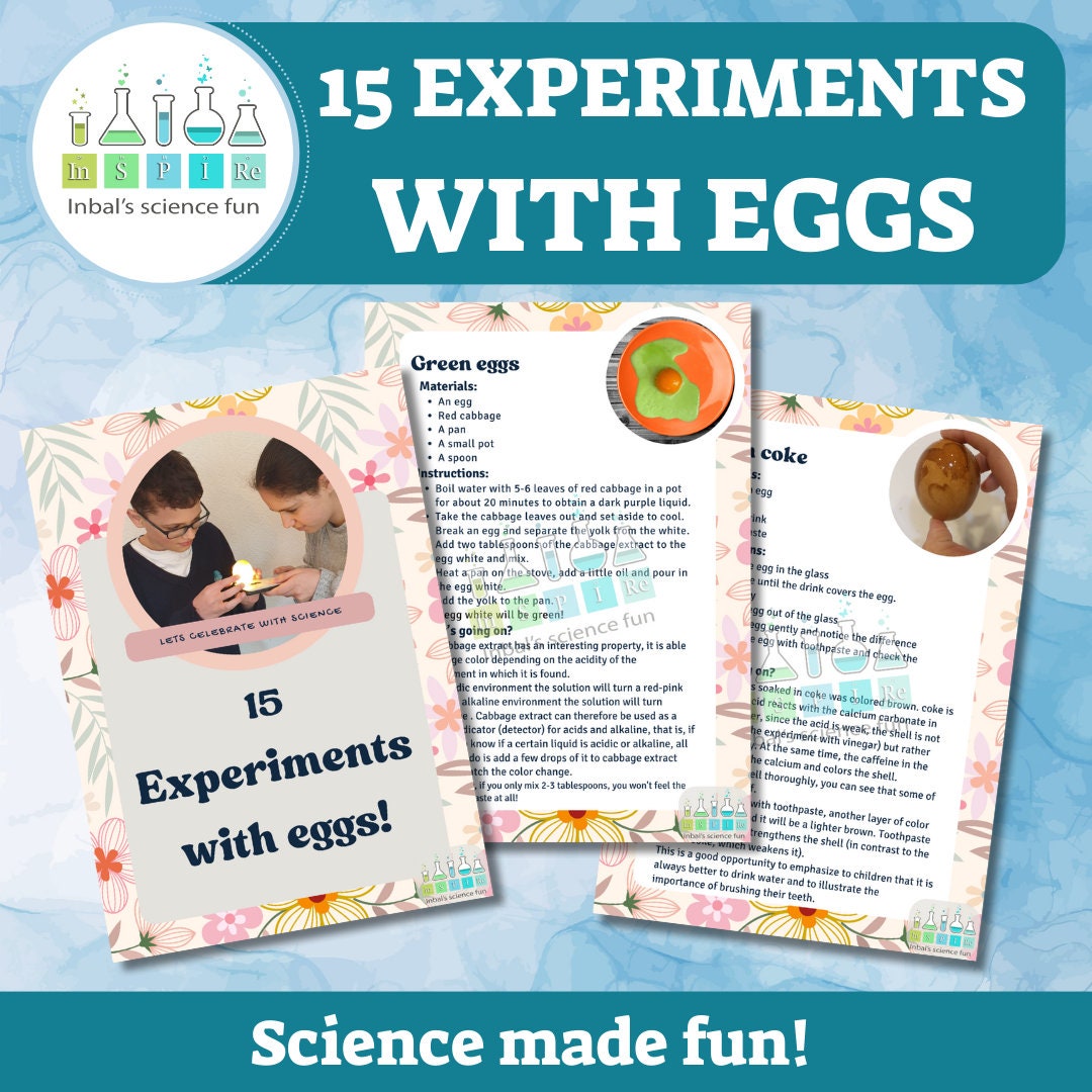 15 Experiments With EGGS Printable Booklet for Science Fun - Etsy