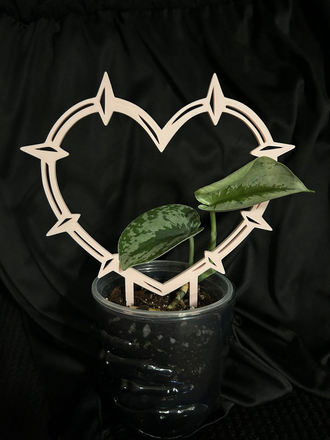 Spiked Heart Plant Trellis | Pastel Goth Plant Support, Spiky Edgy Y2K ...