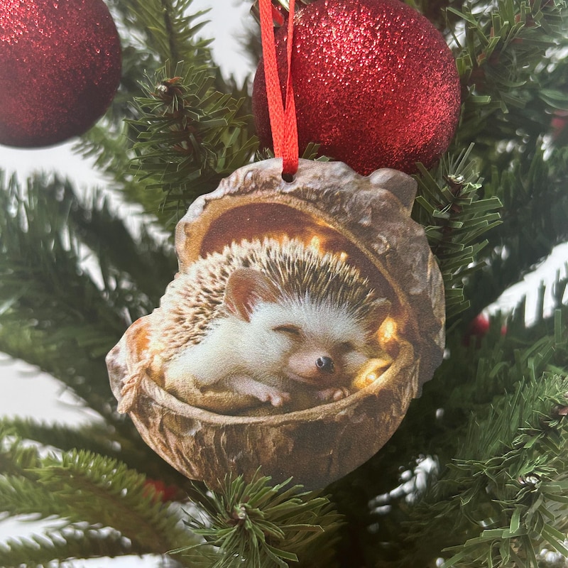 Olygee Acorn Dreams Christmas Ornaments - Etsy Canada
