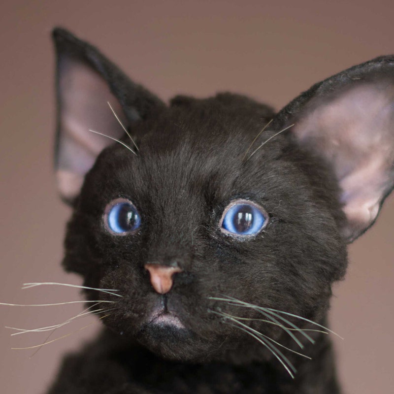 KittenBlackUA - Etsy