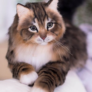 Queen -norwegian Forest Cat - Realistic Life Size Cat. OOAK Artist ...