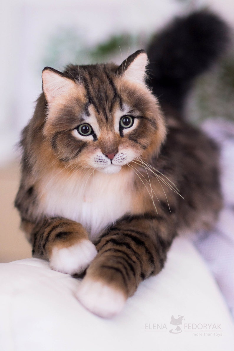 Queen -norwegian Forest Cat - Realistic Life Size Cat. OOAK Artist ...