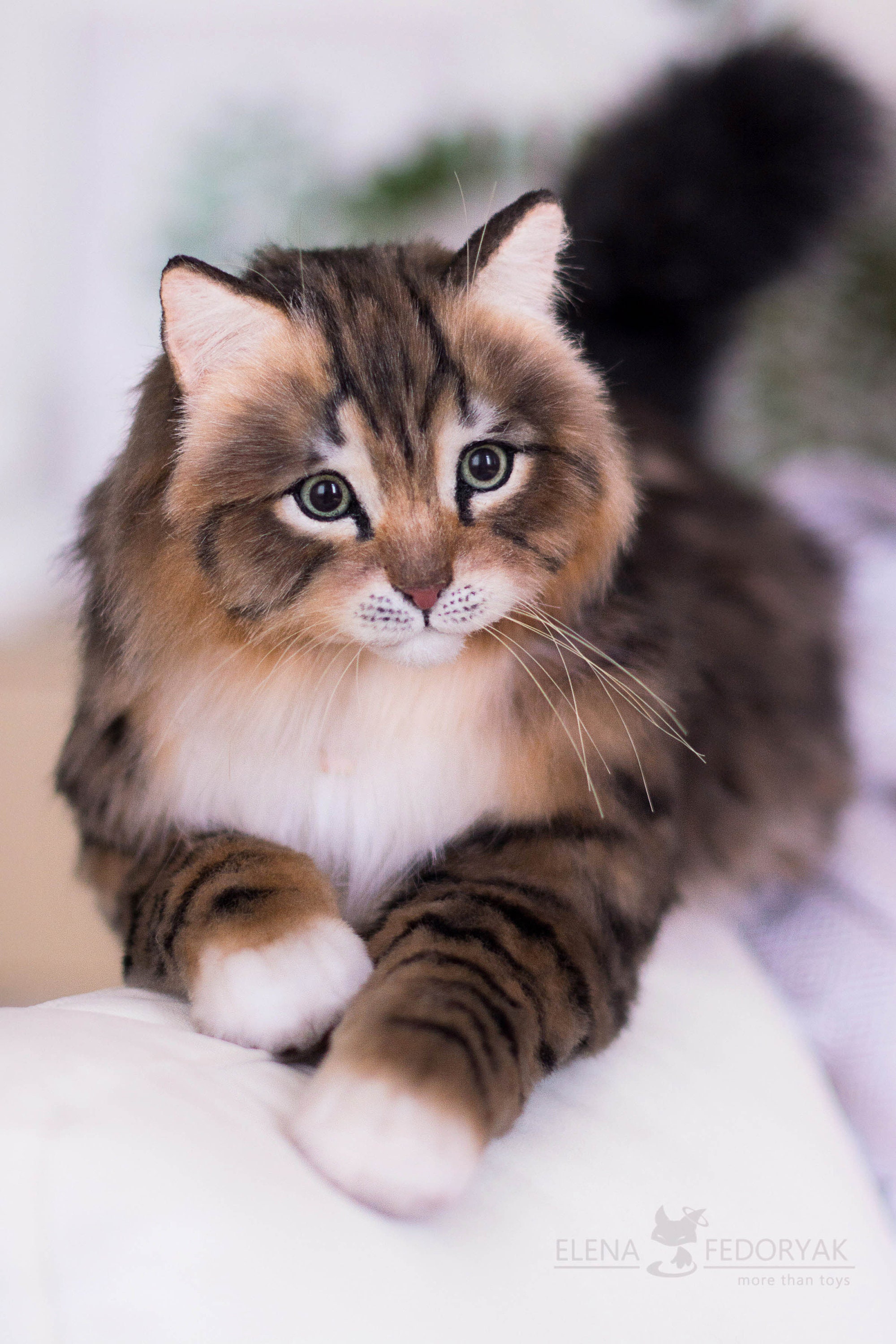 Queen norwegian Forest Cat Realistic Life Size Cat. OOAK - Etsy Canada