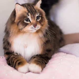 Queen -norwegian Forest Cat - Realistic Life Size Cat. OOAK Artist ...