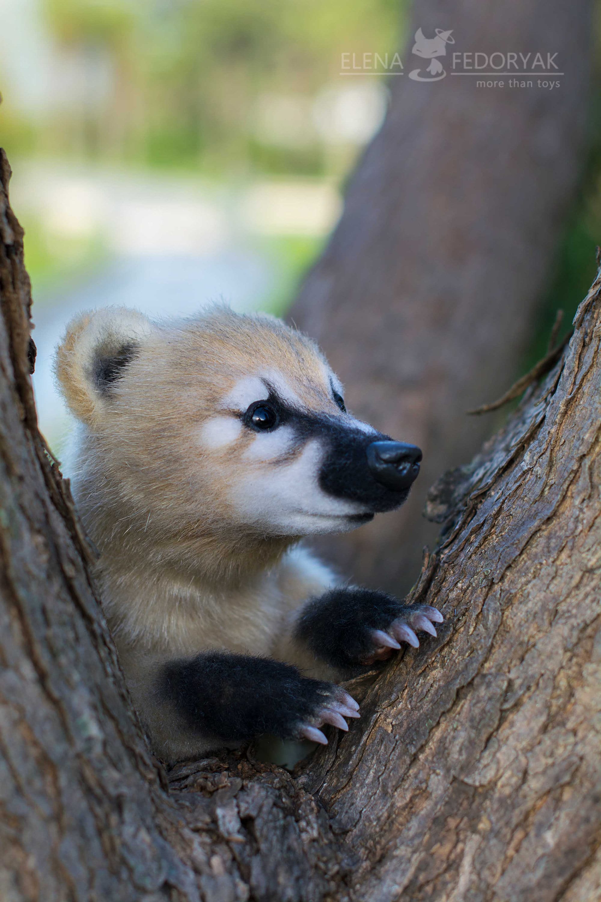 Baby Coati Realistic Poseable Toy MADE to ORDER - Etsy