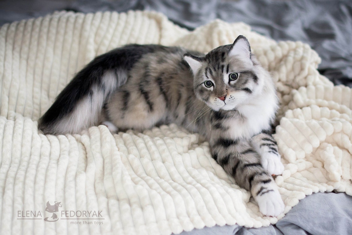 Shadow Realistic Life Size Cat. OOAK Artist Handmade - Etsy