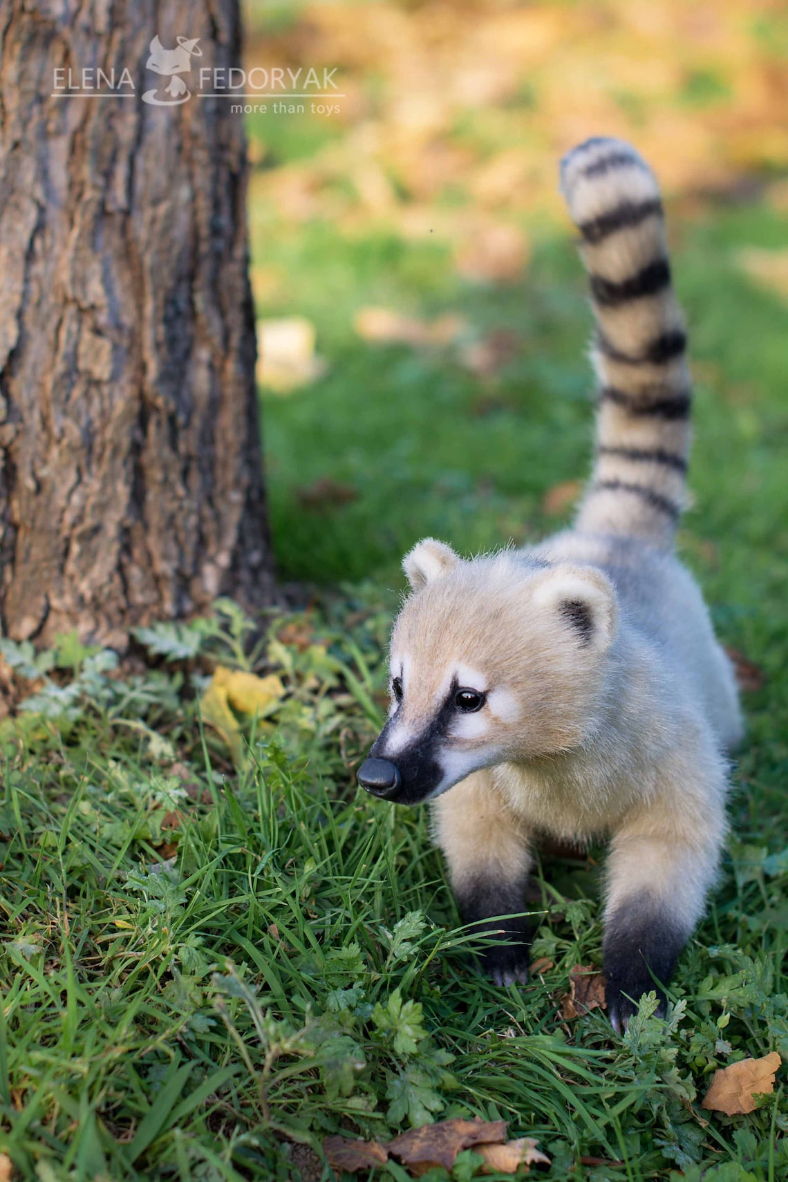 Baby Coati Realistic Poseable Toy MADE to ORDER - Etsy