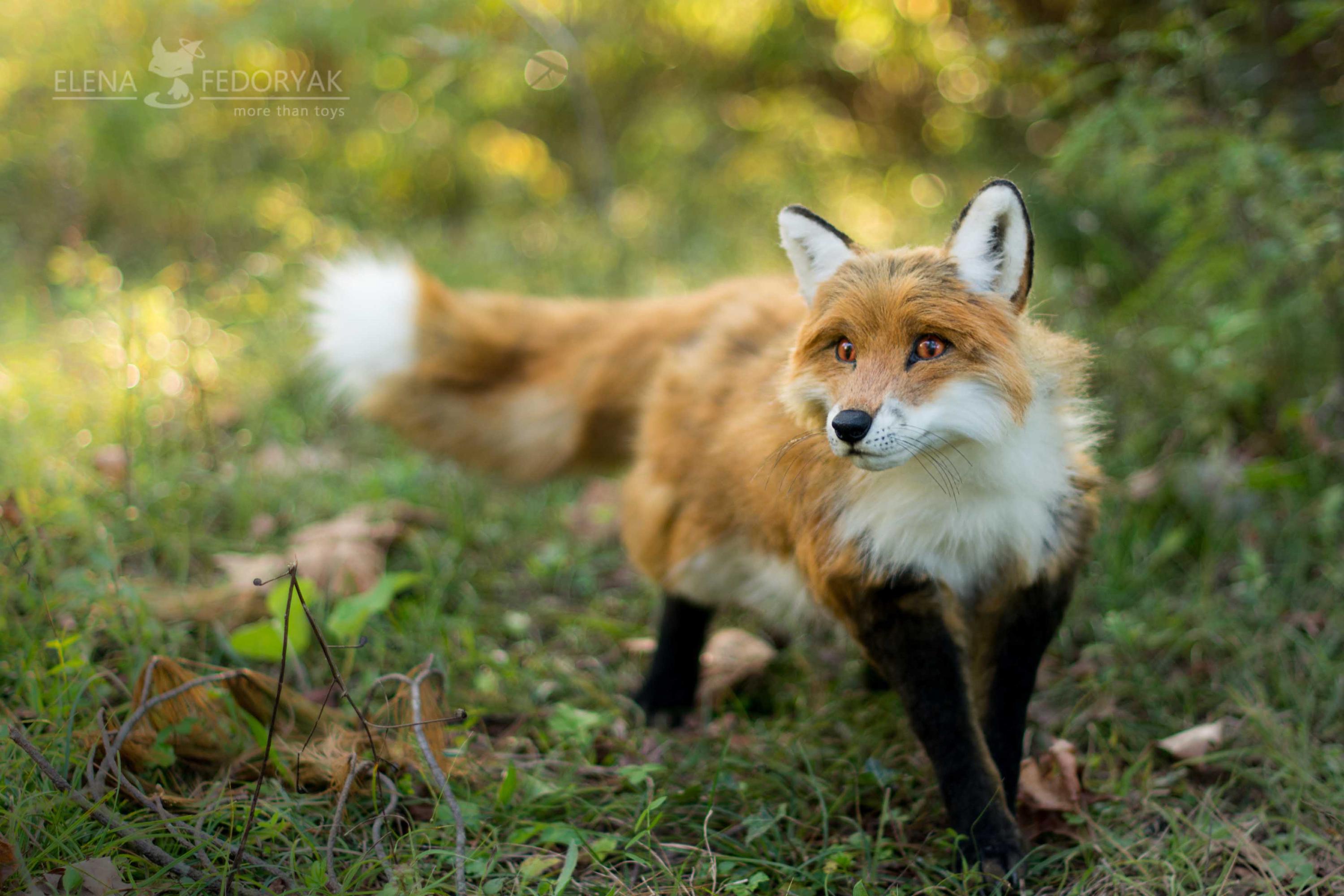 Fox - Realistic Life Size Toy (made to Order/ Shown as an Example) - Etsy