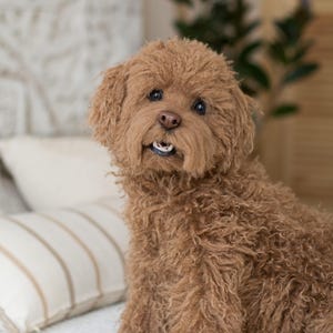 Labradoodle. Real Size Poseable Realistic Toy. OOAK. Handmade ...