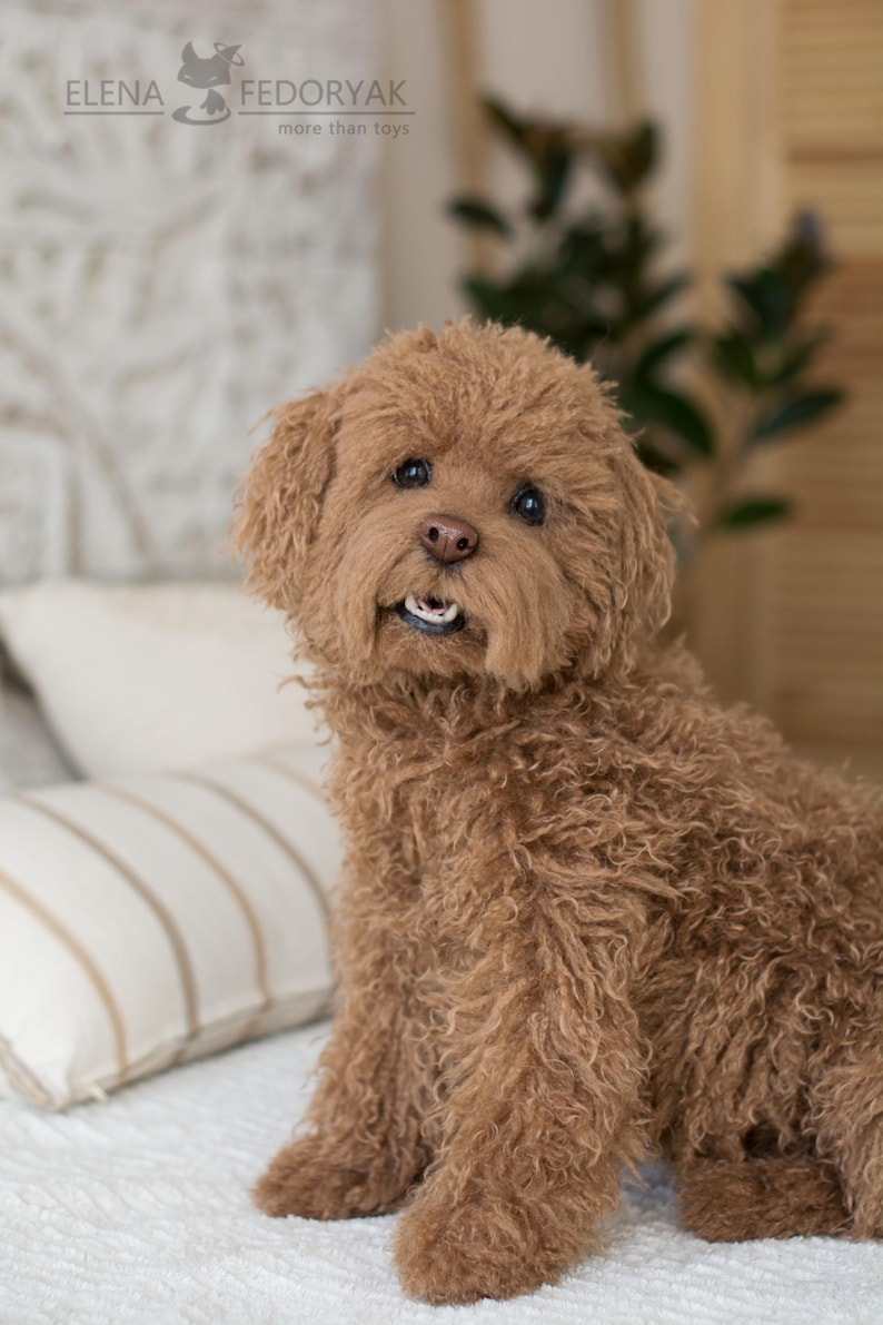 Labradoodle. Real Size Poseable Realistic Toy. OOAK. Handmade ...