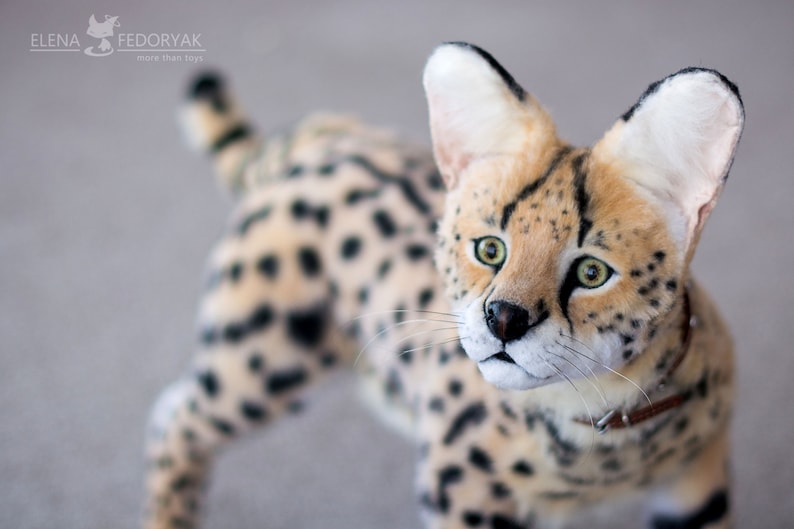 Serval Lifesize Realistic Toy. OOAK Artist Handmade | Etsy
