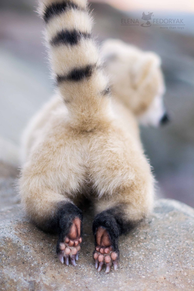 Baby Coati Realistic Poseable Toy MADE to ORDER - Etsy