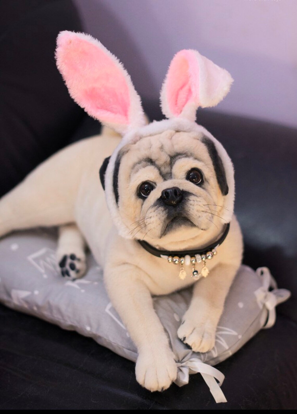 Pug. Real Size Poseable Realistic Toy. OOAK. Handmade Collectible ...