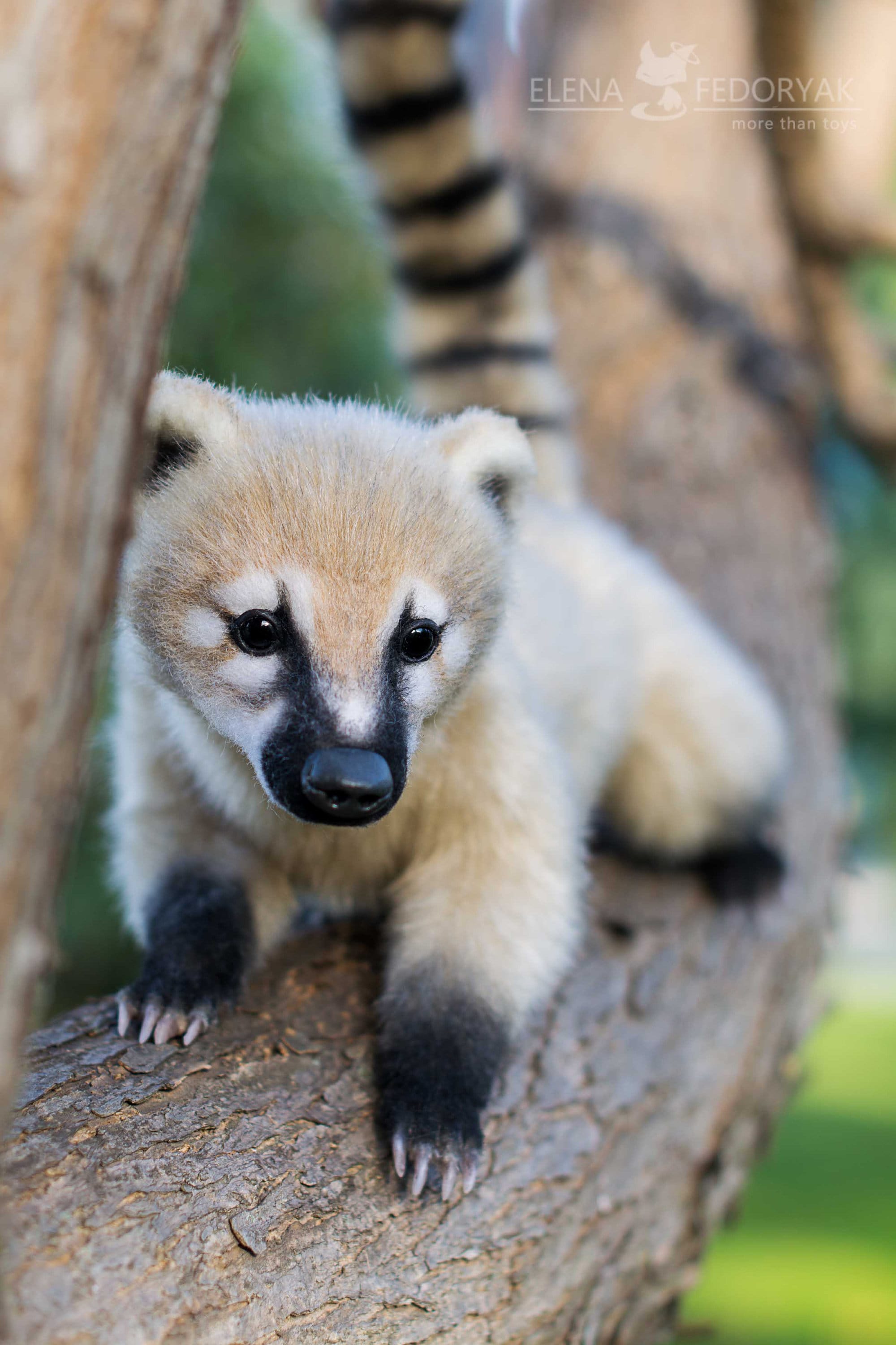 Baby Coati Realistic Poseable Toy MADE to ORDER - Etsy