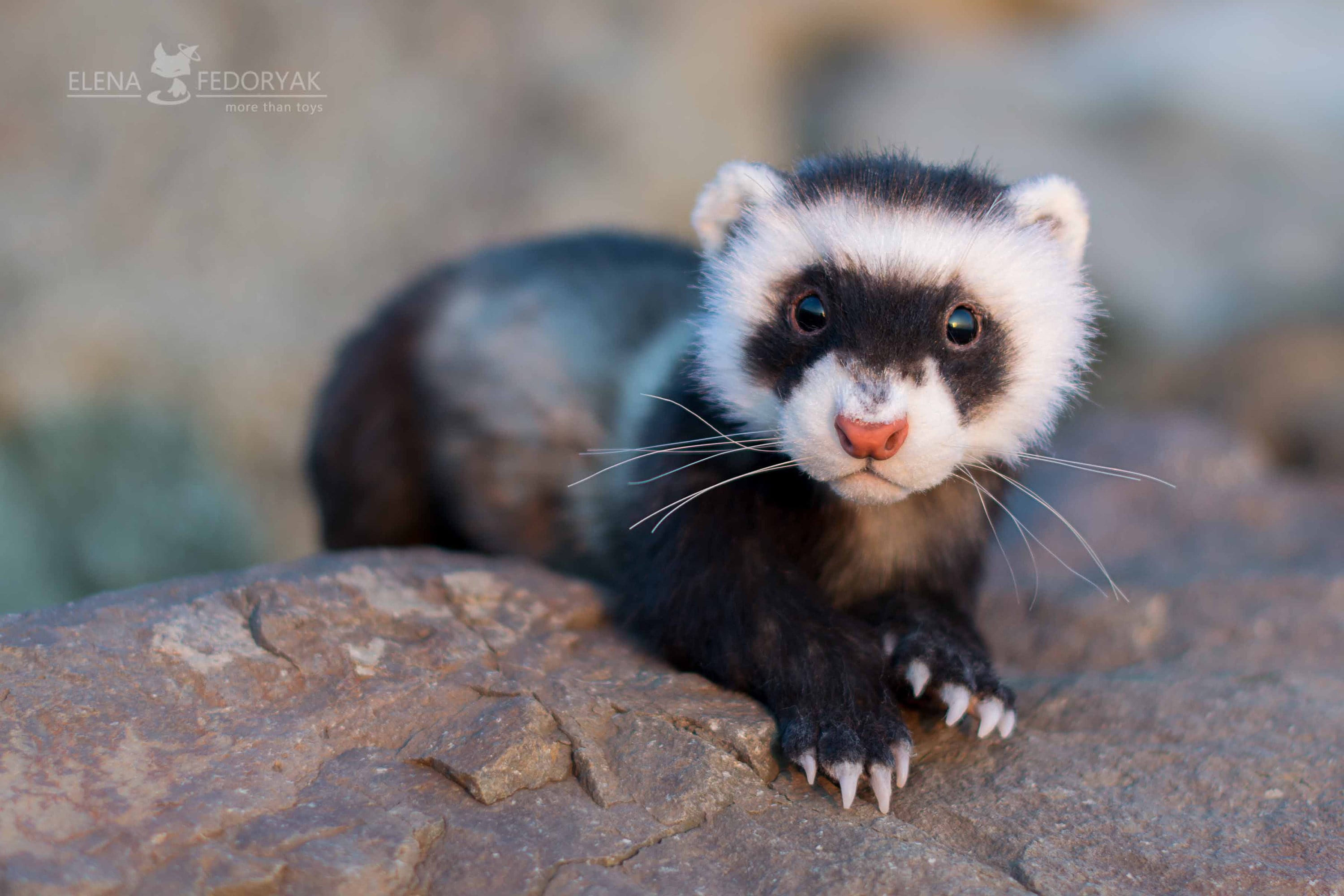 Ferret - Realistic Poseable Toy (MADE to ORDER) - Etsy
