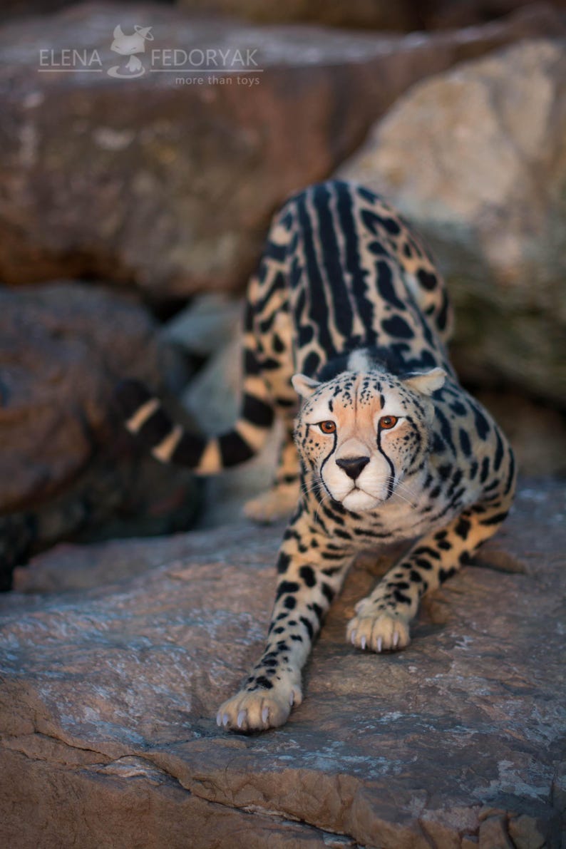 King Cheetah . Real Size Poseable Realistic Toy. OOAK. Handmade ...