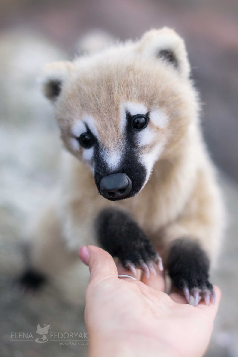 Baby Coati - Realistic Poseable Toy (MADE to ORDER) - Etsy