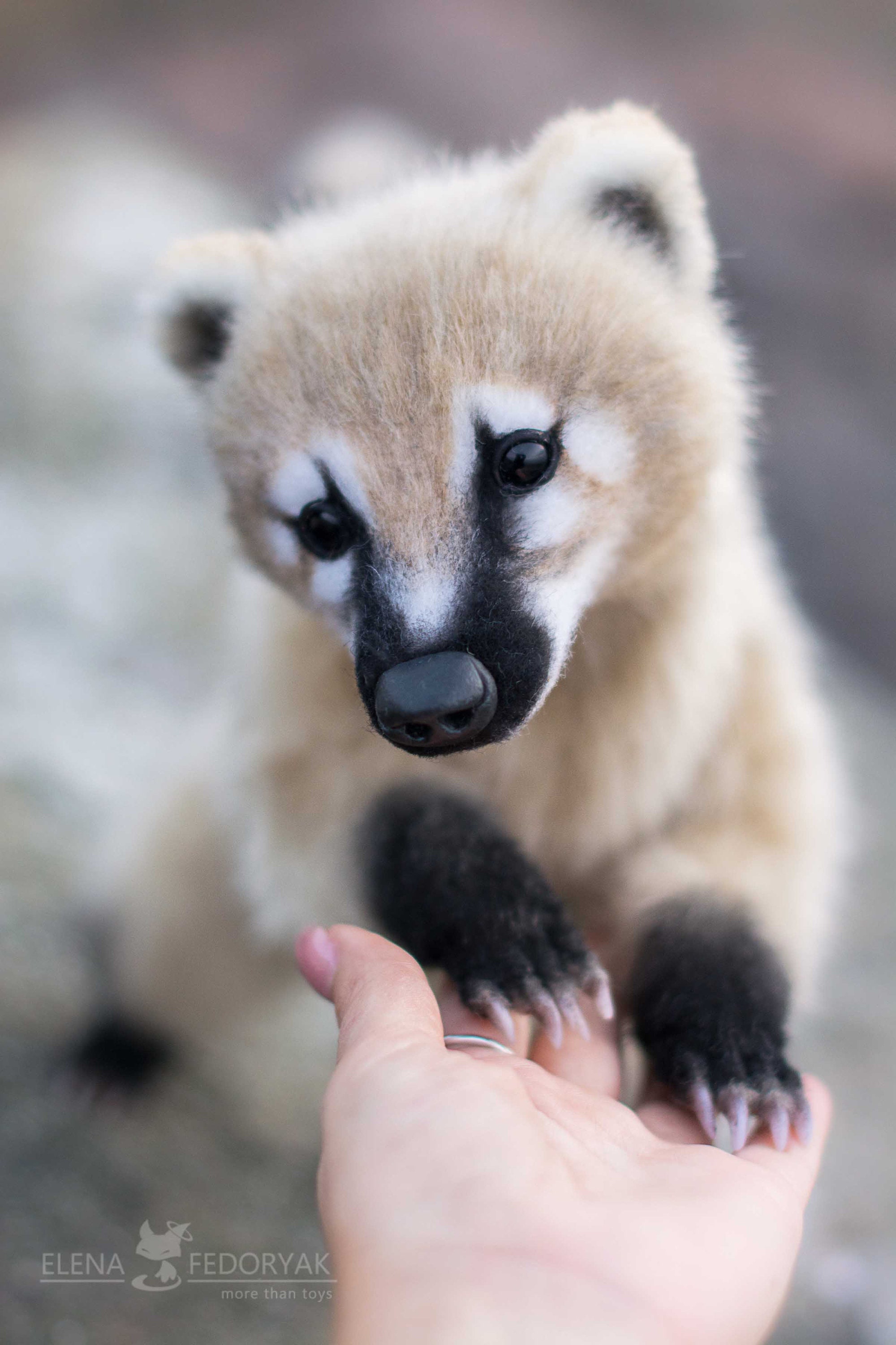 Baby Coati Realistic Poseable Toy MADE to ORDER - Etsy
