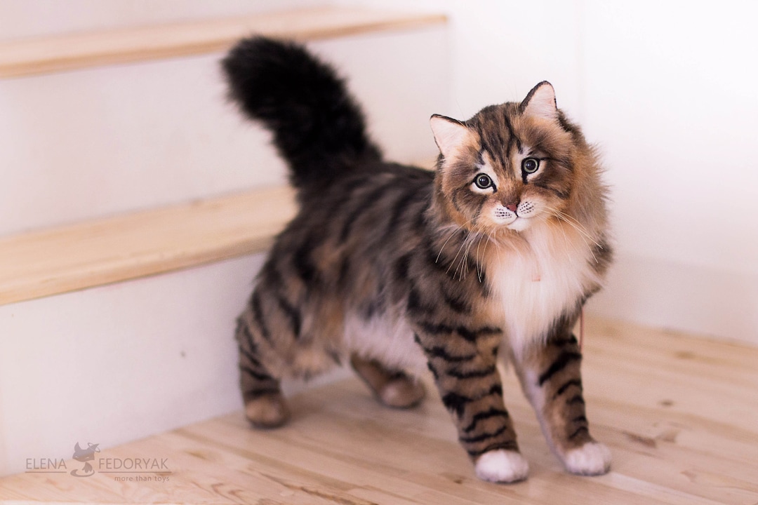 Queen -norwegian Forest Cat - Realistic Life Size Cat. OOAK Artist ...