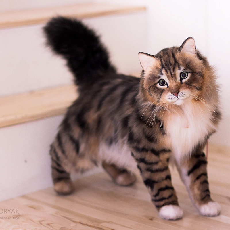 Realistic Cat - Etsy