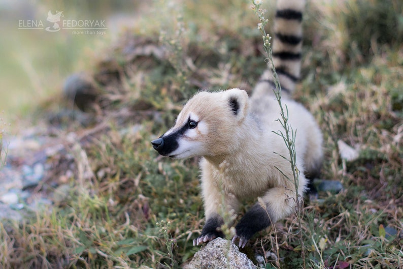 Baby Coati Realistic Poseable Toy MADE to ORDER - Etsy