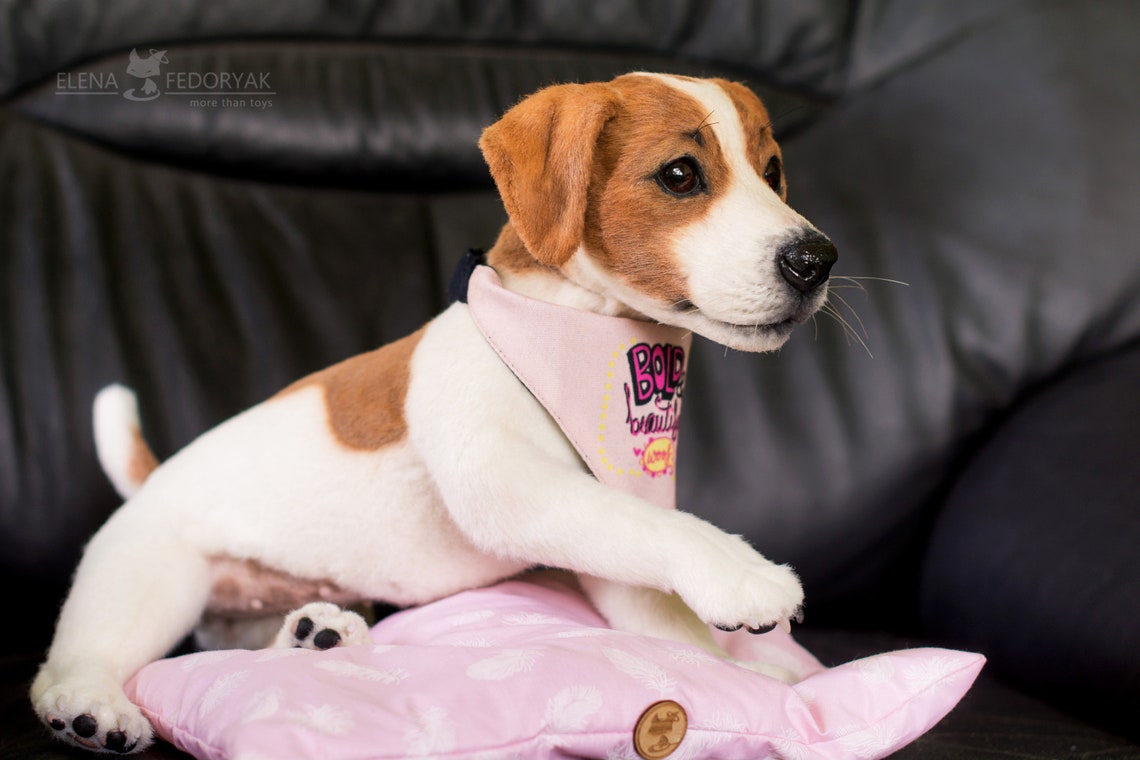 Jack Russell Terrier. Real Size Poseable Realistic Toy. OOAK. | Etsy
