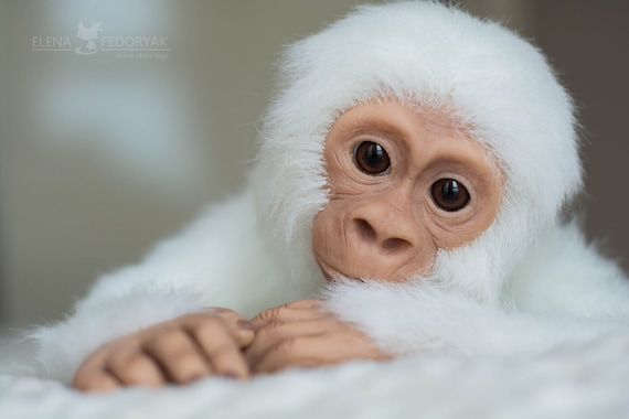 Baby Albino Gorilla