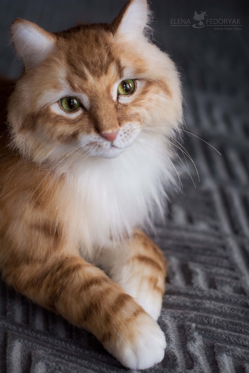 Miroslava - Realistic Life Size Cat (MADE to ORDER) - Etsy