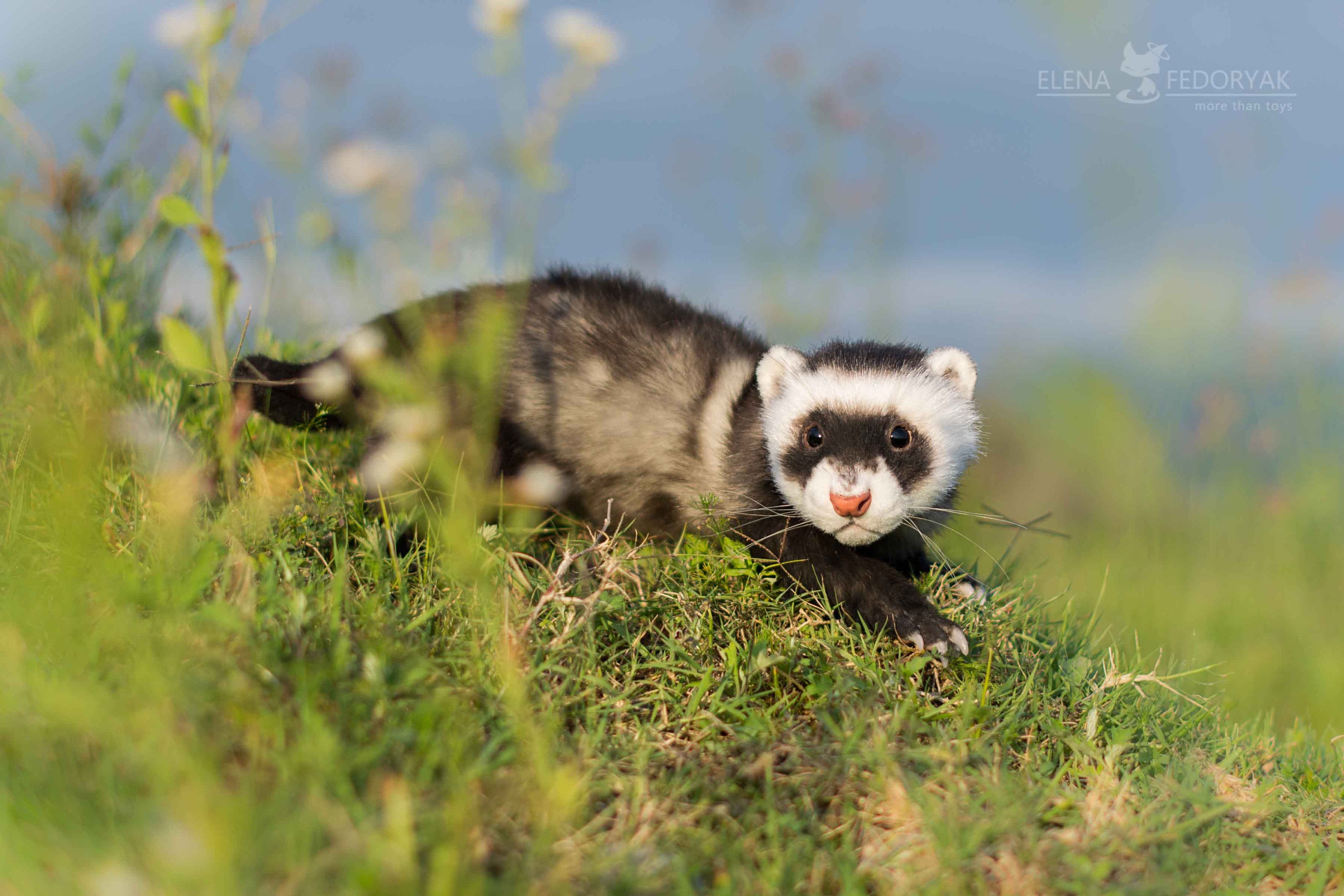 Ferret - Realistic Poseable Toy (MADE to ORDER) - Etsy