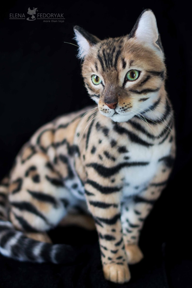 Bengalcat - Realistic Life Size Cat. OOAK Artist Handmade Collectible ...