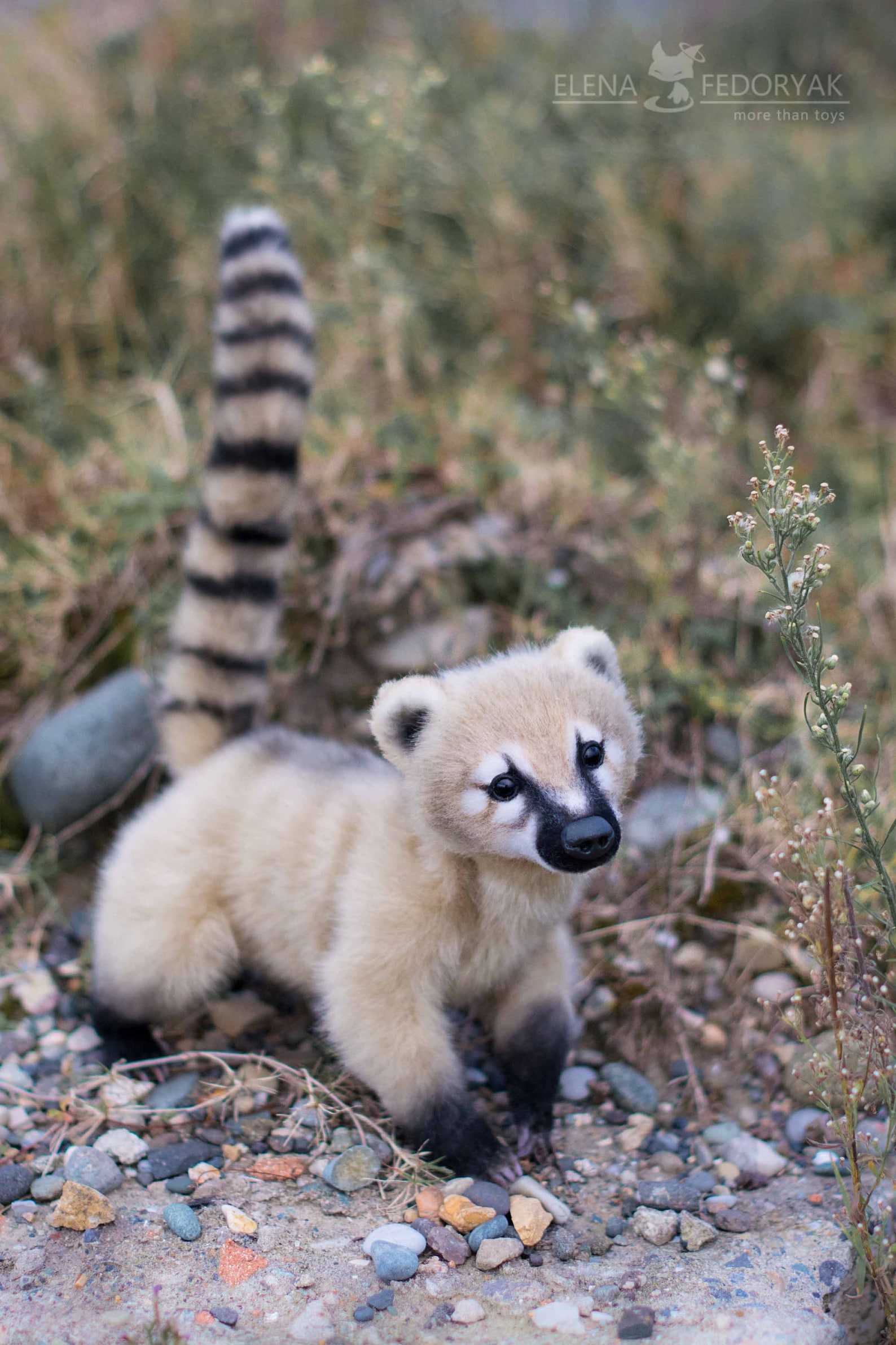 Baby Coati Realistic Poseable Toy MADE to ORDER - Etsy