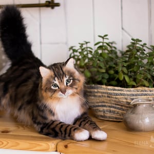 Queen -norwegian Forest Cat - Realistic Life Size Cat. OOAK Artist ...