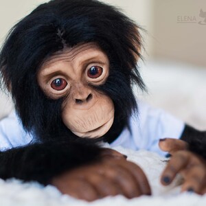 Baby Chimp Cookie - Life Size Realistic Movable Toy. OOAK Artist ...