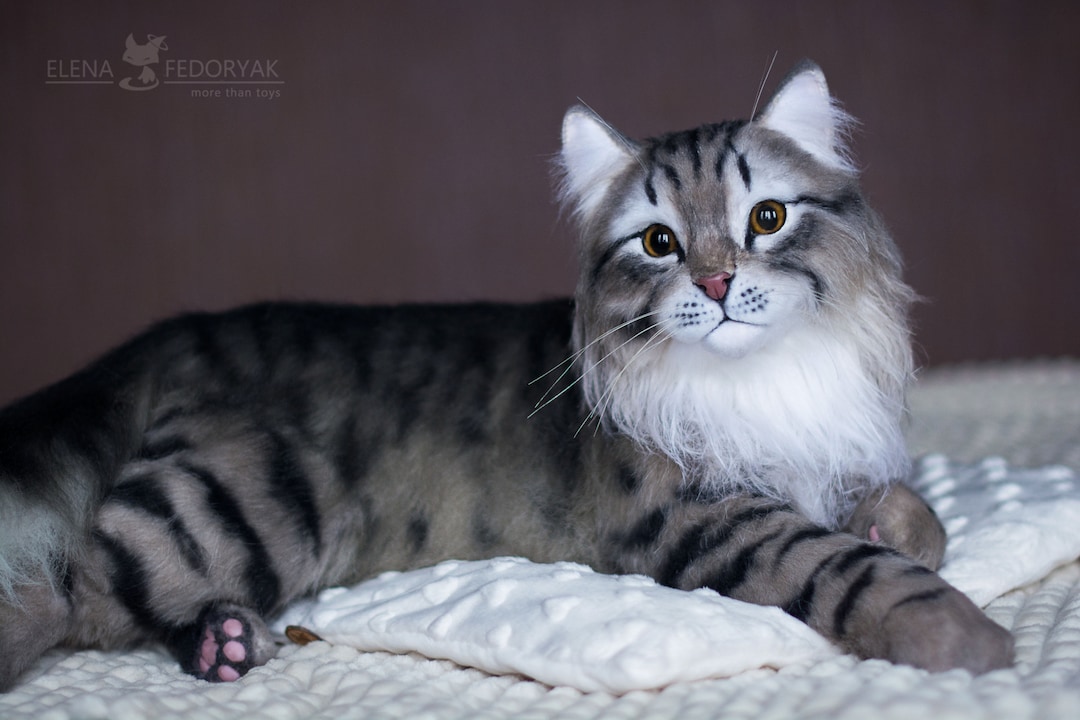 GLORIA - Realistic Life Size Cat (an EXAMPLE) - Etsy