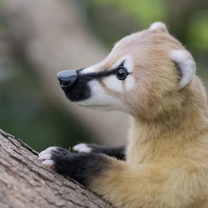 Baby Coati Realistic Poseable Toy - Etsy