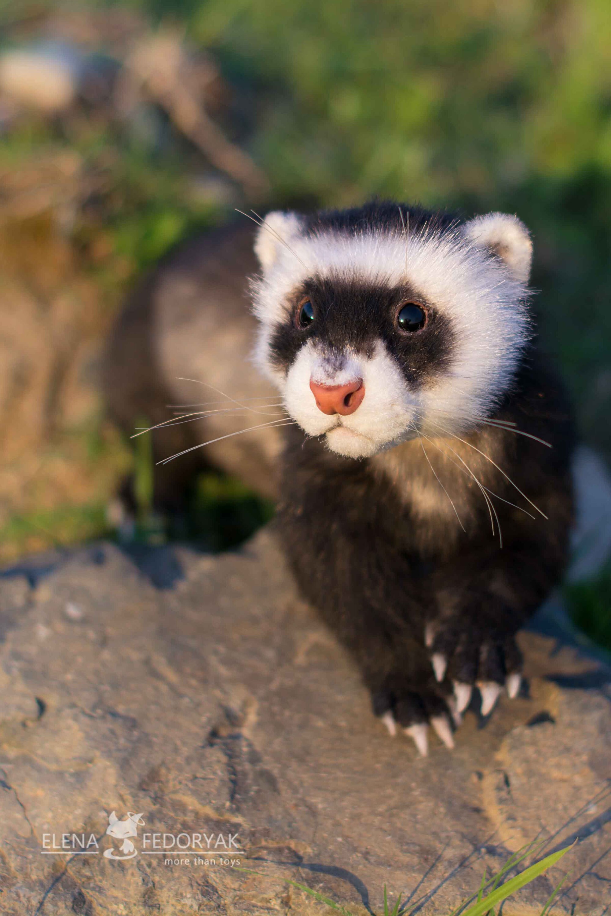 Ferret - Realistic Poseable Toy (MADE to ORDER) - Etsy