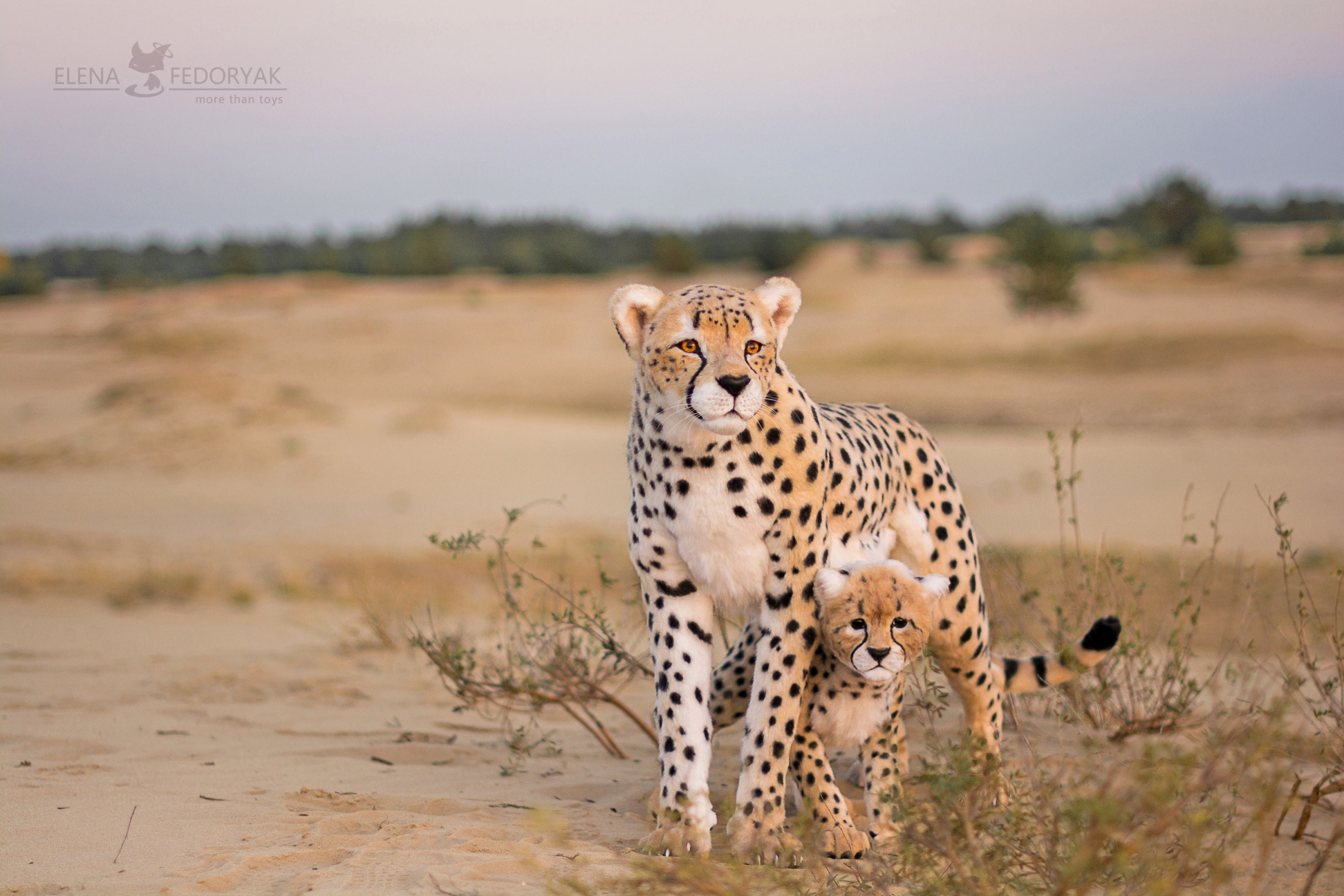 Baby Cheetah Lyra. Real Size Poseable Realistic Toy. OOAK. Handmade ...