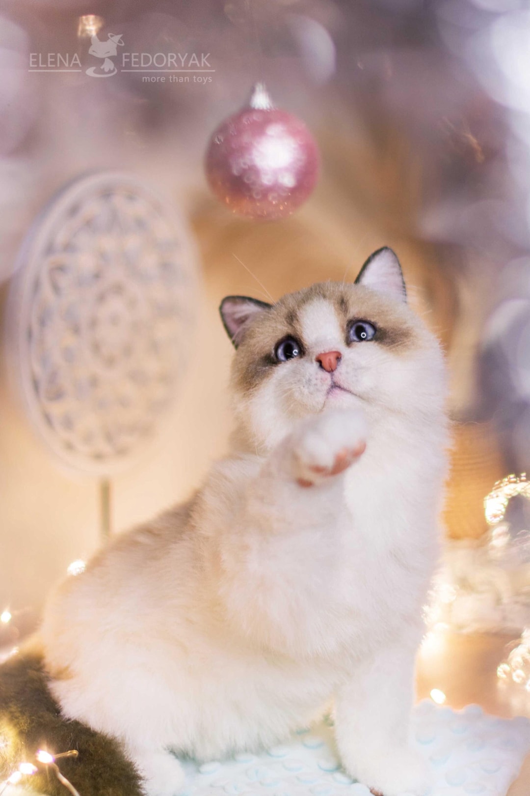 Ragdoll Kitten Mongoe - OOAK Artist Handmade Collectible Animal by ...