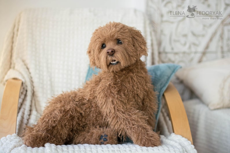 Labradoodle. Real Size Poseable Realistic Toy. OOAK. Handmade ...
