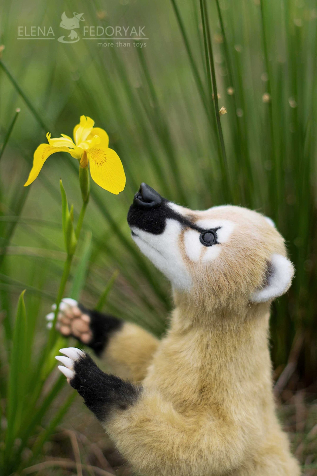 Baby Coati Realistic Poseable Toy - Etsy