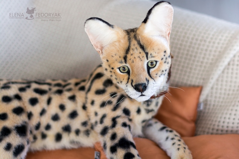 Serval Lifesize Realistic Toy. OOAK Artist Handmade | Etsy