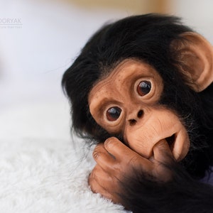 Baby Chimp Mini - Life Size Realistic Movable Toy. OOAK Artist Handmade ...