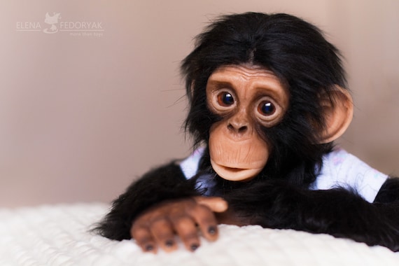 Baby Chimp Sarah Life Size Realistic Movable Toy. OOAK - Etsy