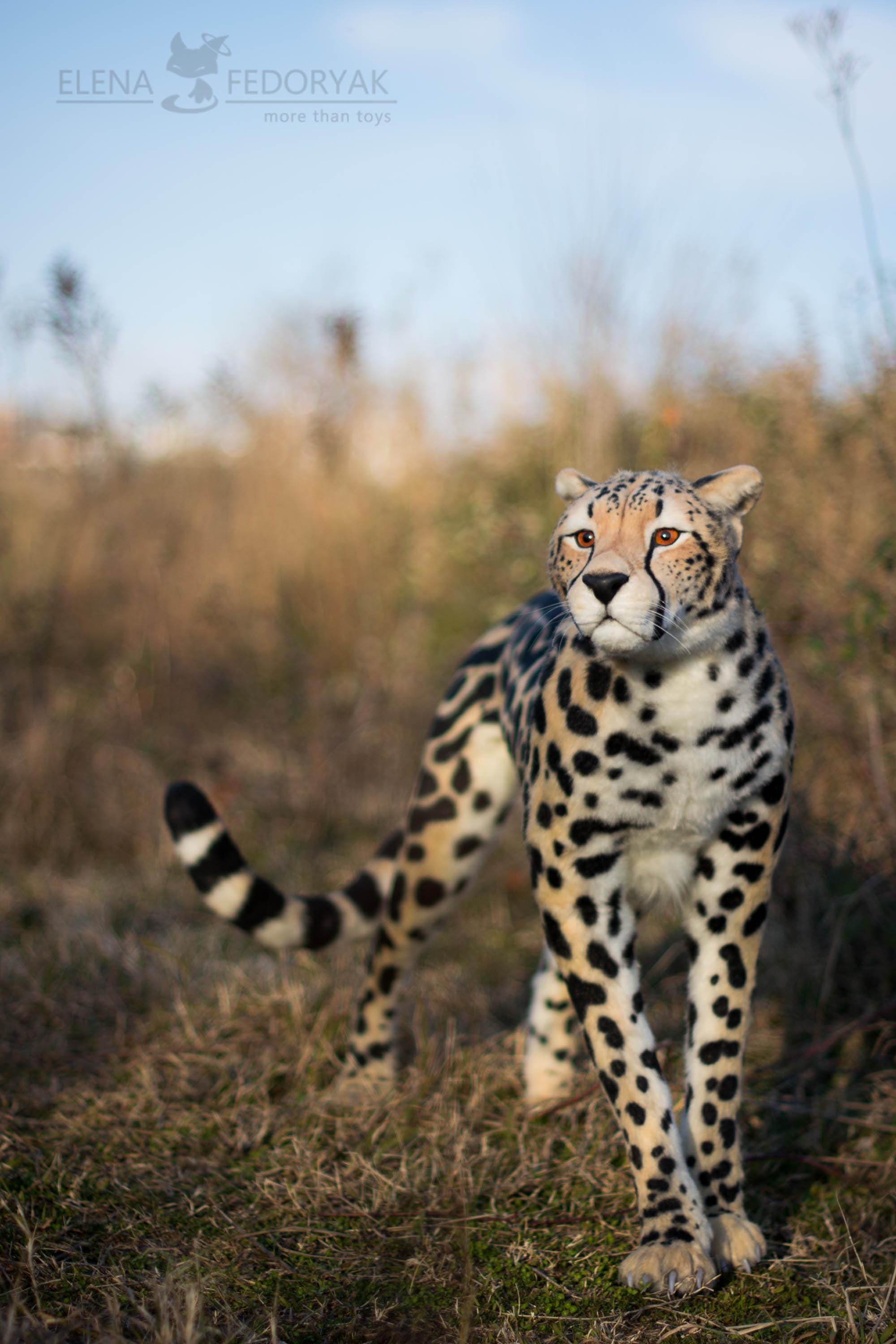 King Cheetah . Real Size Poseable Realistic Toy. OOAK. Handmade ...