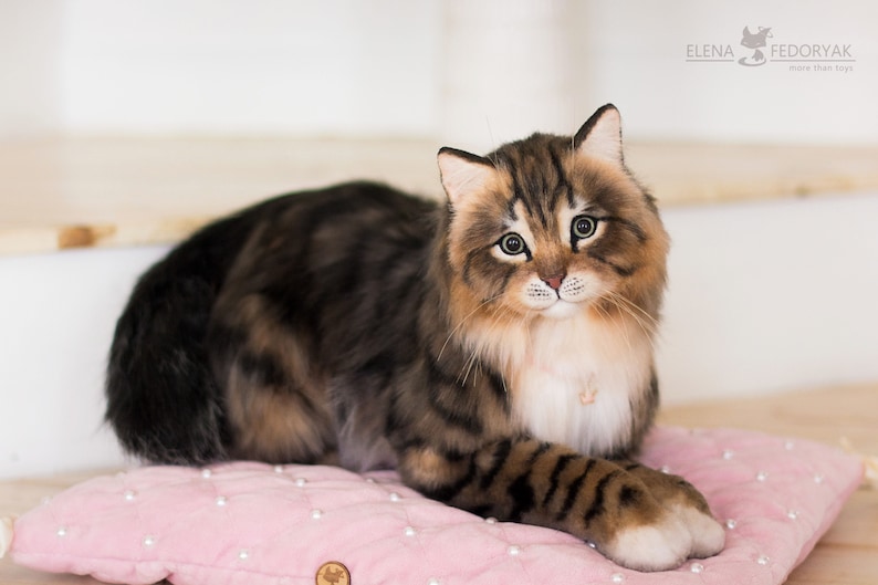 Queen -norwegian Forest Cat - Realistic Life Size Cat. OOAK Artist ...