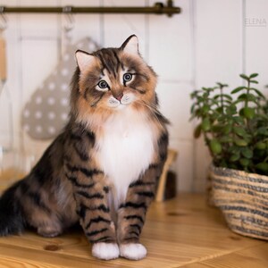 Queen -norwegian Forest Cat - Realistic Life Size Cat. OOAK Artist ...